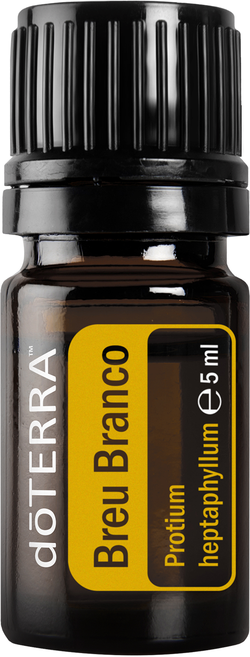 Óleo Essencial Breu Branco - Universō dos Óleos Essenciais